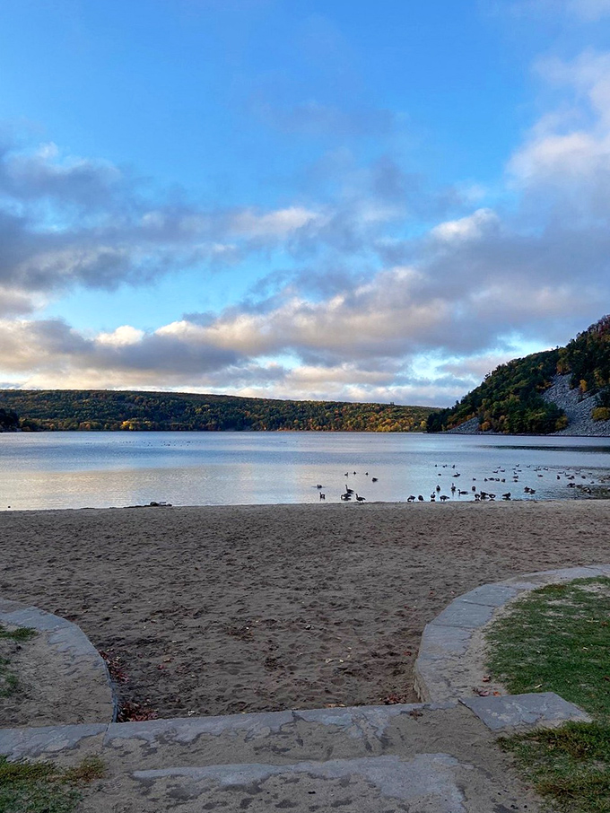 Fowl play at the beach! These feathered tourists know a good vacation spot when they see one.