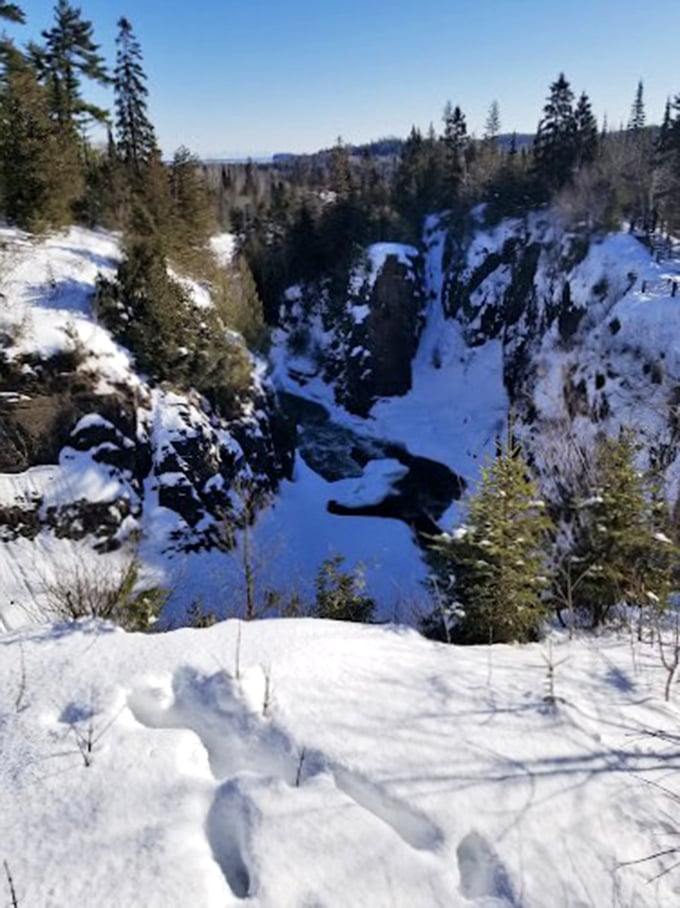 Jack Frost's masterpiece! Winter transforms the park into a sparkling wonderland that'd make Elsa want to build another ice castle.
