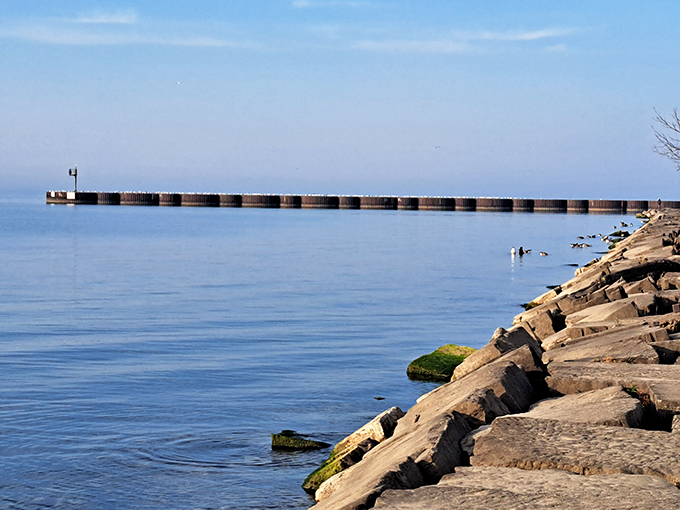 "Nature's breakwater provides front-row seats to Lake Erie's aquatic ballet. Seagulls and cormorants are today's star performers!"