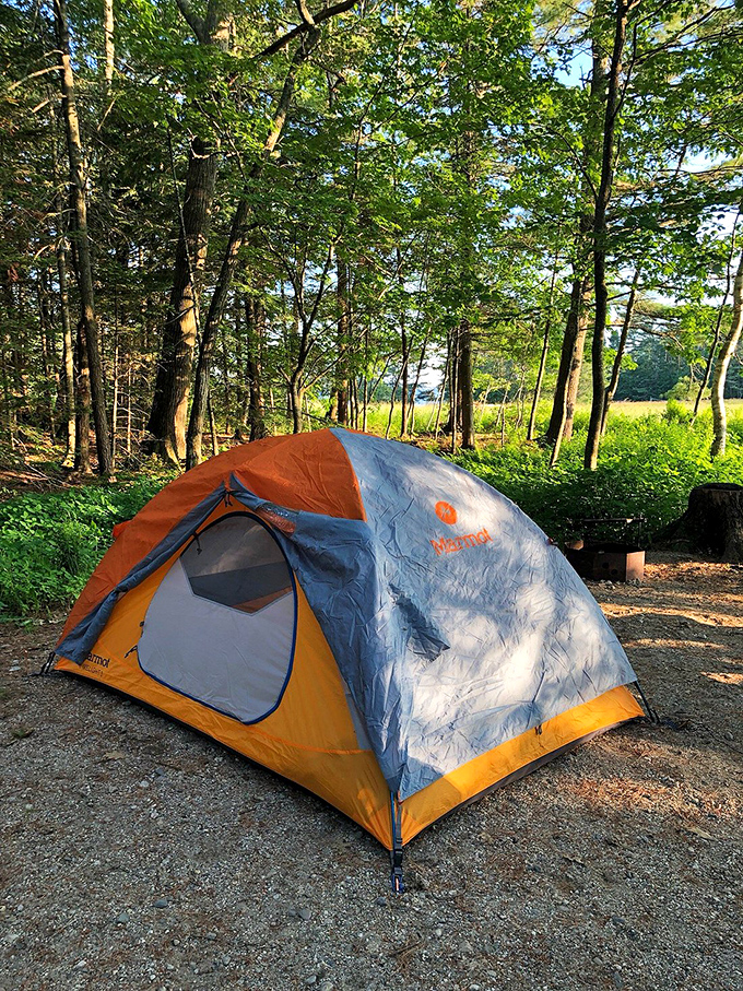 Camping with a view: Where your backyard is a forest and your alarm clock is a chorus of birdsong.