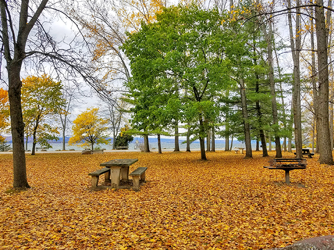 Charlotte Town Beach transforms into a golden wonderland. Leaf peeping never looked so good.
