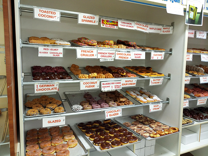 A feast for the eyes (and soon, the stomach)! This donut case is like an art gallery where every masterpiece is edible.