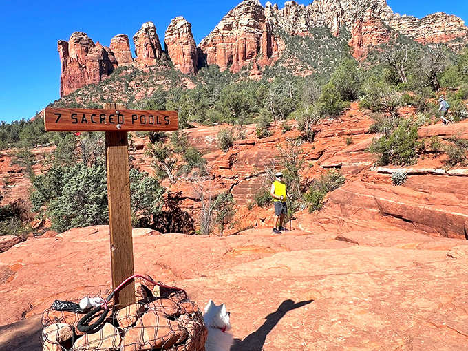 "7 Sacred Pools" sounds like an Indiana Jones adventure, but it's just another day in the magical world of Sedona.