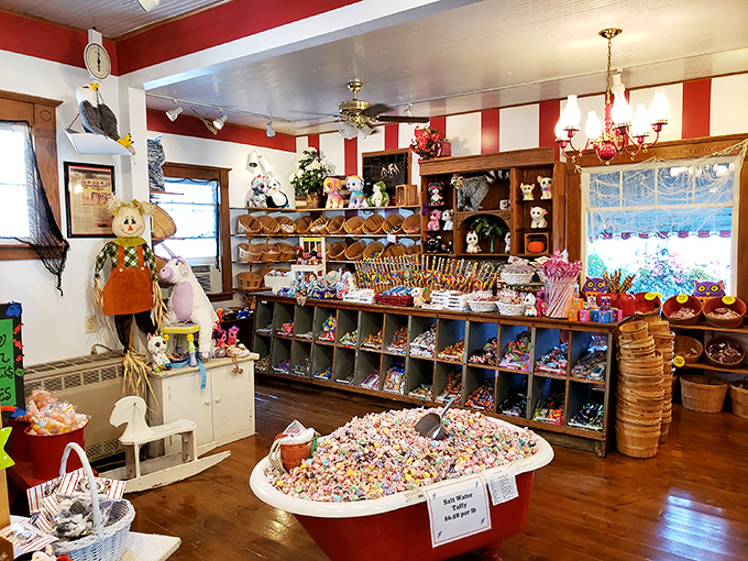 A candy lover's fever dream! This interior shot captures the essence of childhood wonder, with treats as far as the eye can see.