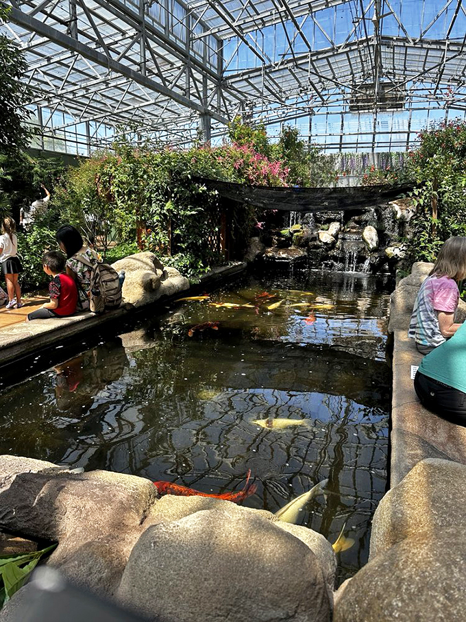 Who needs a wishing well when you've got a koi pond? These fish are living their best lives under a canopy of butterflies.
