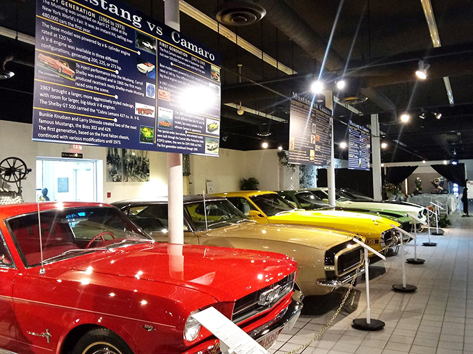 Mustang vs. Camaro: the eternal debate. This exhibit lets you pick your pony car poison - just don't start any parking lot drag races, okay?