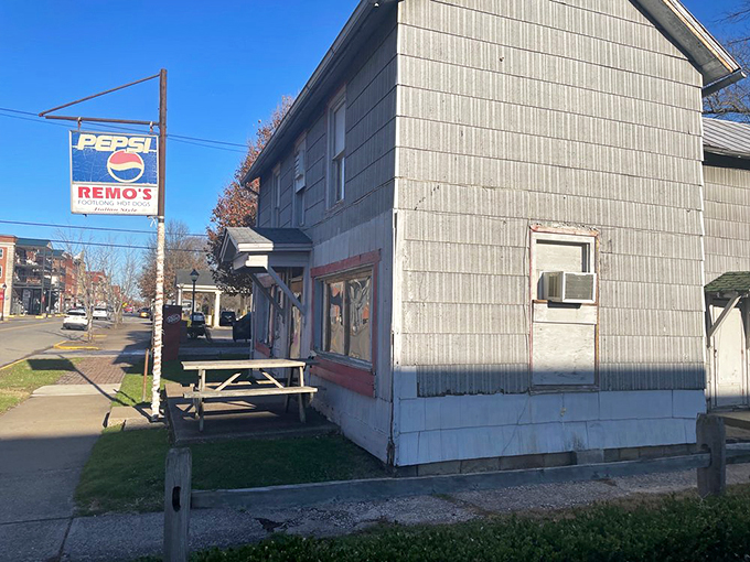 Al fresco feast! Nothing beats enjoying a perfect dog in the great outdoors &ndash; just watch out for sneaky seagulls!