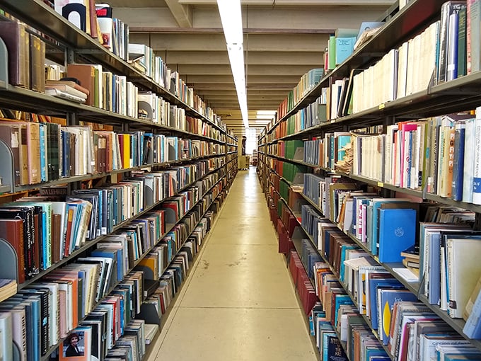 Books, books everywhere, and every drop to read! This ocean of literature will have you swimming in stories.