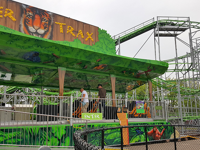 Enter at your own risk! Tiger Trax brings the jungle to Minnesota, minus the humidity and with 100% more giggles.