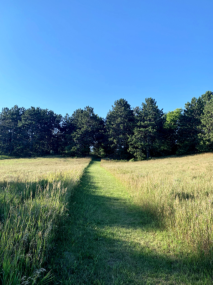 The path less traveled... until now. This trail is your ticket to serenity, served with a side of adventure.