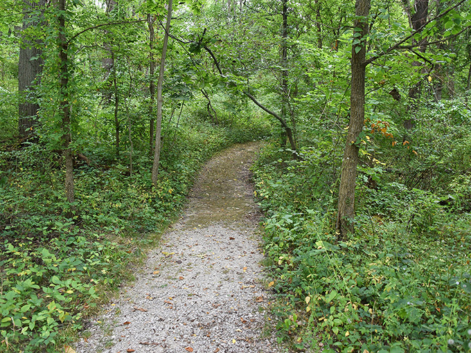 "Follow the yellow brick... er, gravel road! This winding trail promises adventure around every bend. Just watch out for flying monkeys."