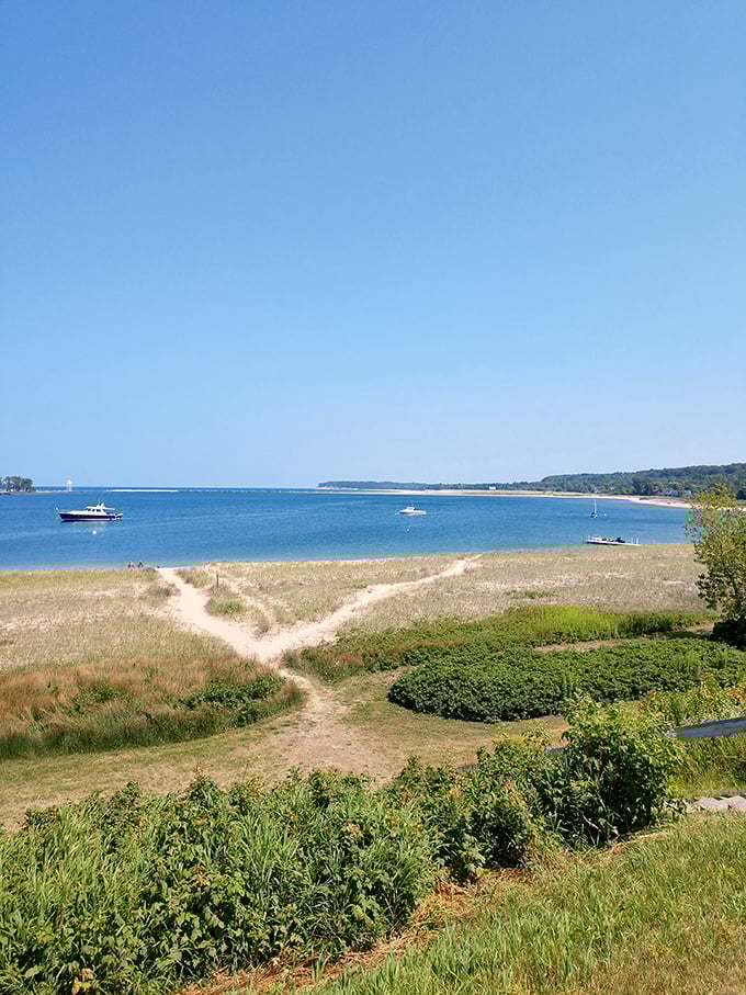 Lake Superior stretches out before you, a view so breathtaking it could make even a pickle emotional.