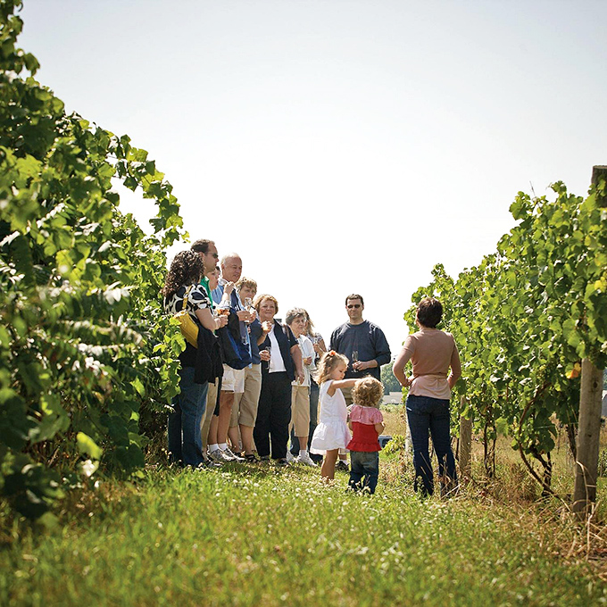School's in session, and recess is wine o'clock! These lucky students are getting a Ph.D. in Pinot among the vines.