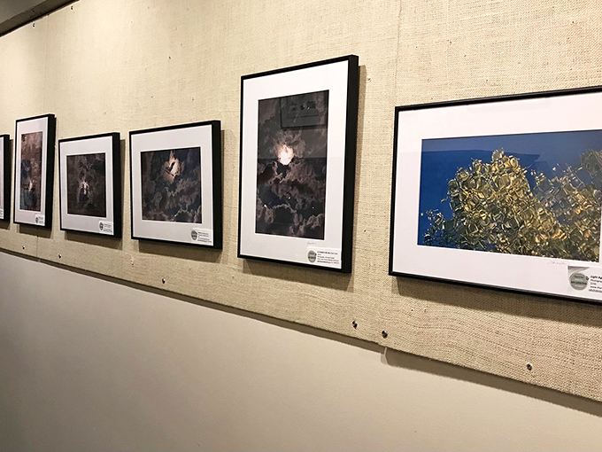 Wall of wonders! Each frame tells a different story, proving that a picture is indeed worth a thousand words – and then some.