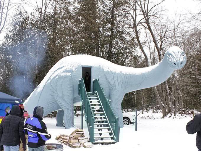 Brrr-ontosaurus! Even in winter, these hardy dinos brave the elements to delight visitors young and old.