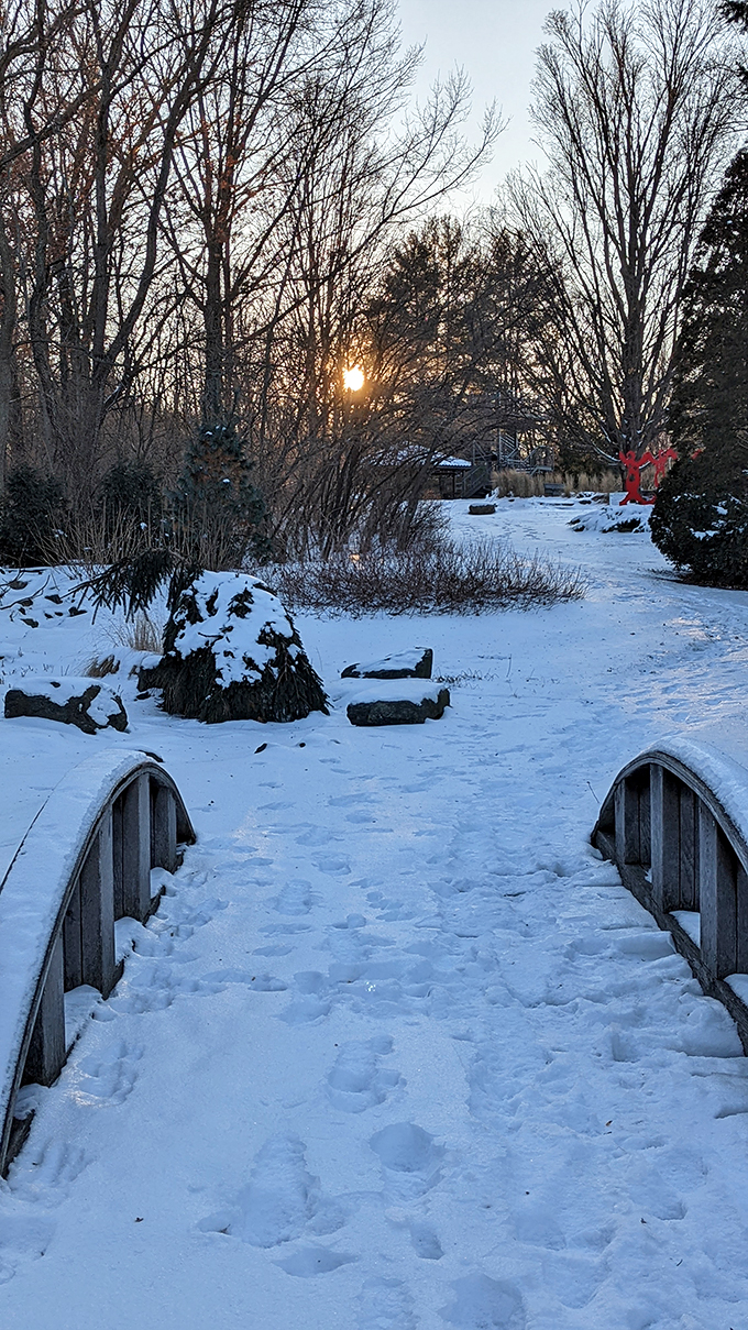 Winter wonderland or secret passage to Narnia? This snow-covered bridge invites you to explore a world where even Jack Frost feels welcome.