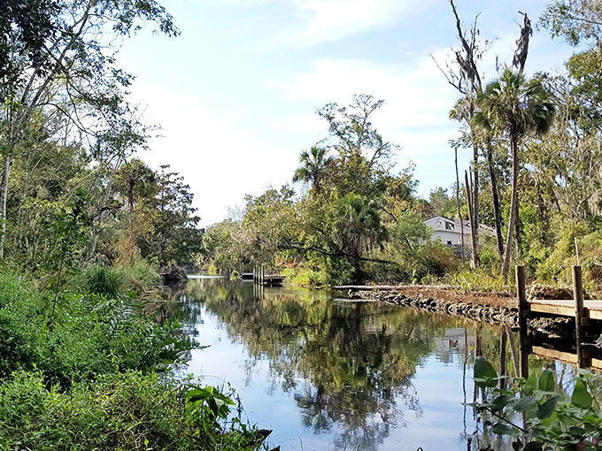 Mirror, mirror on the water, what stories do you reflect? This serene canal whispers of bygone days when sugar flowed like liquid gold.
