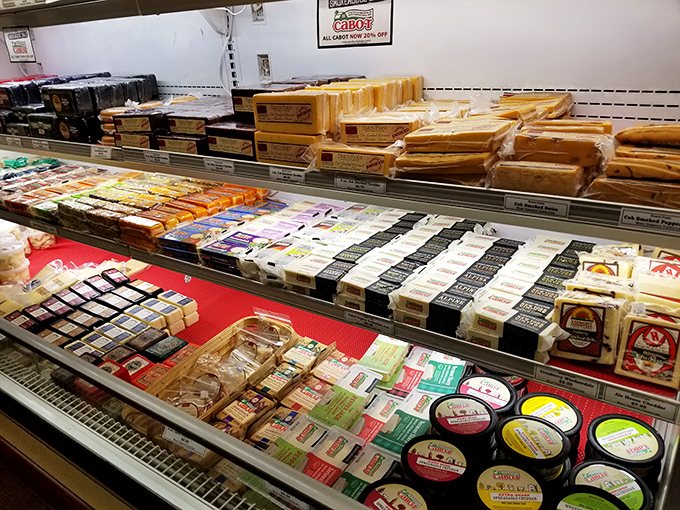 Cheese, glorious cheese! This refrigerated rainbow of dairy delights is enough to make a mouse faint from sheer joy.