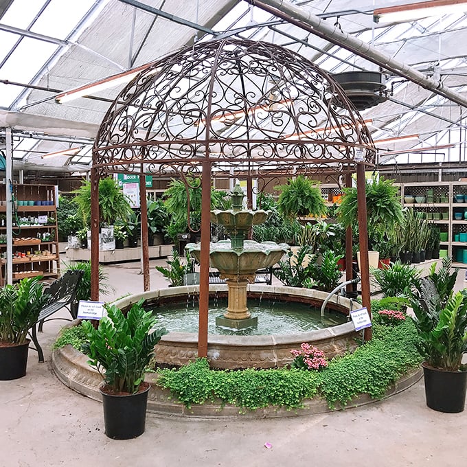 The Fountain of Youth... for plants! This ornate water feature is so fancy, it makes garden gnomes feel underdressed. Expect impromptu Renaissance fairs to break out here.