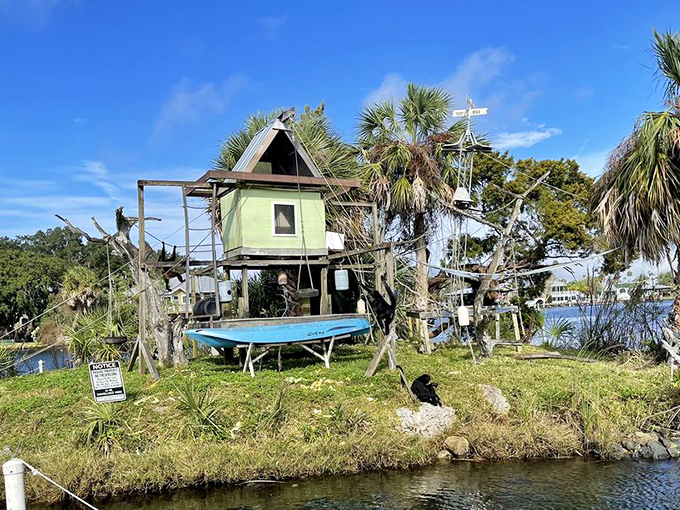 It's like a treehouse, a lighthouse, and a monkey playground had a beautiful Florida baby.