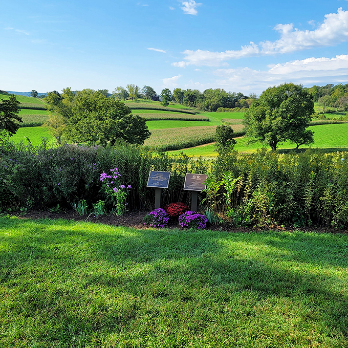 Nature's classroom, Wright's playground. These rolling hills taught the master more than any textbook ever could.