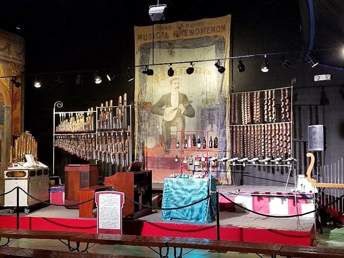 Music to my ears! This eclectic collection of instruments once filled the big top with the sounds of spectacle.