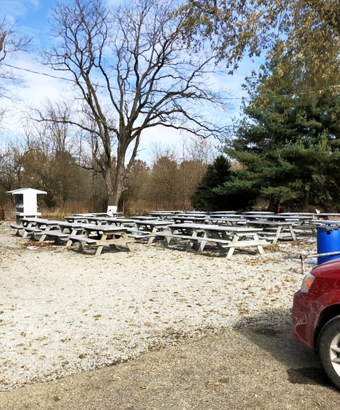 Al fresco feast-ing! These picnic tables are primed for the ultimate burger bash under the Illinois sky.