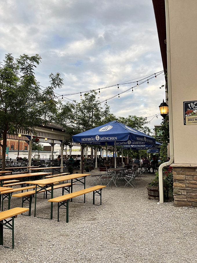 Al fresco meets Alp-esco! Outdoor dining with a side of Bavarian flair. Lederhosen optional, appetite mandatory.