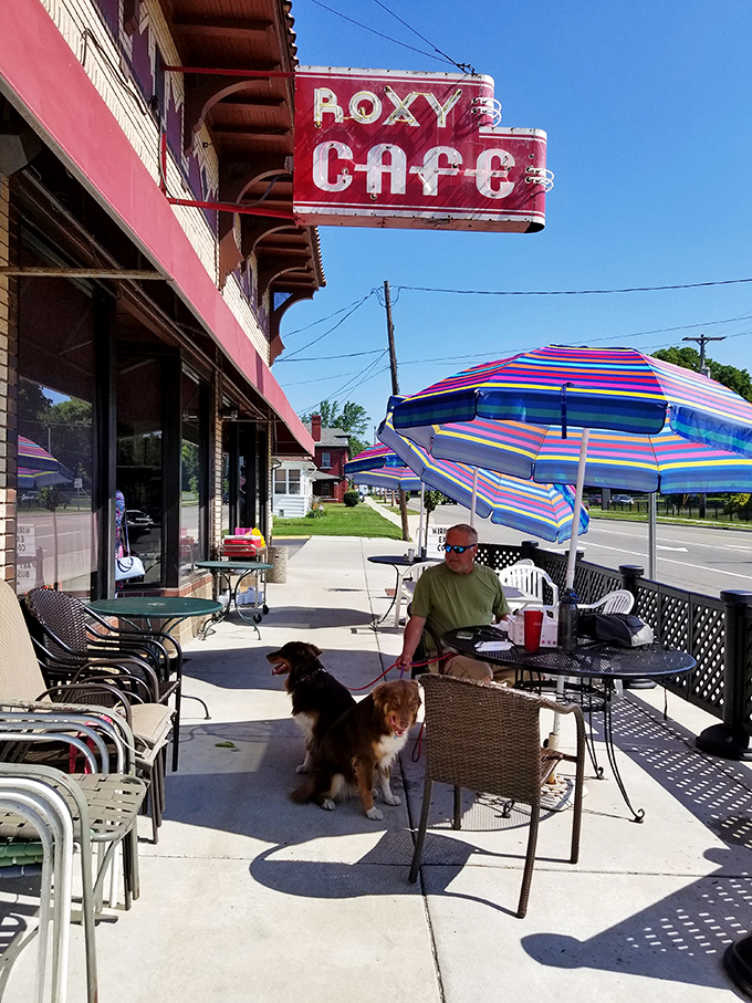Alfresco feast alert! Even man's best friend knows the Roxy's patio is the place to be for people-watching and paw-some treats.