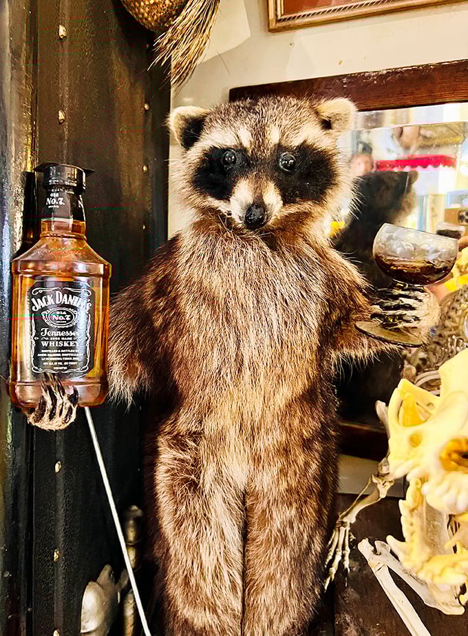 This dapper raccoon proves that even in the afterlife, it's important to dress for the occasion. Jack Daniel's not included, but strongly implied.