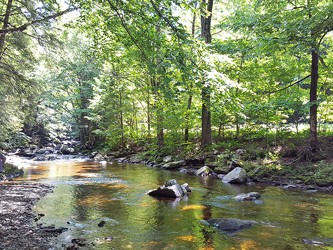 Who needs a spa day when you've got this tranquil stream? It's nature's own version of a sound machine &ndash; babbling brook setting: activated.