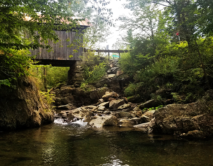 Rock-solid beauty: Nature's own sculpture garden, where every stone tells a story of glaciers, time, and really stubborn plant roots.