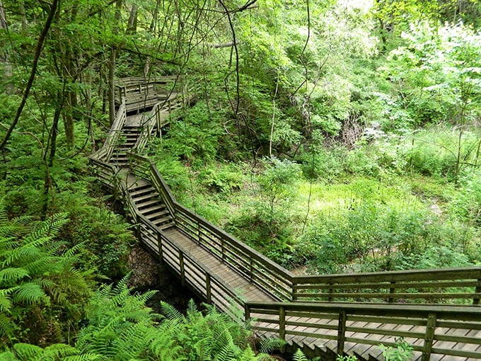 Bird's eye view? More like squirrel's eye view! This top-down perspective gives 'going out on a limb' new meaning.
