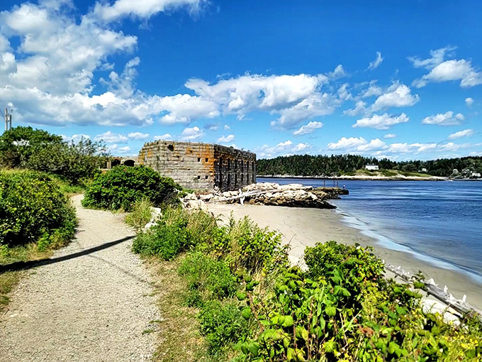 Take a stroll on the wild side! Fort Popham's nature trail offers a perfect blend of history and horticulture. It's like a time-traveling botanical garden!