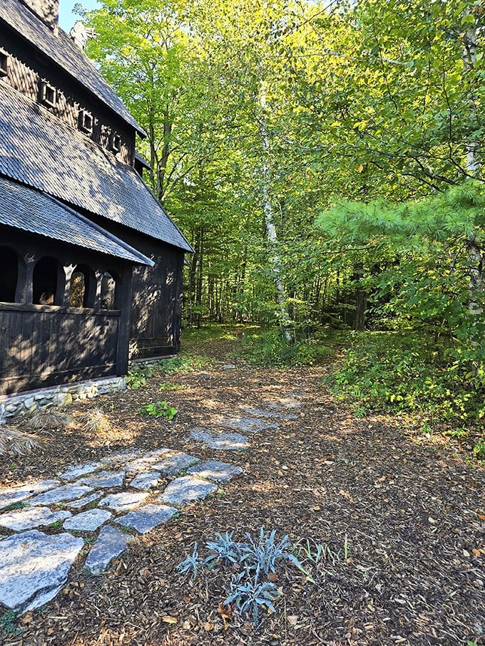 Nature's red carpet! This winding path through the woods feels like it's leading to a fairy tale ending &ndash; or at least a great photo op.