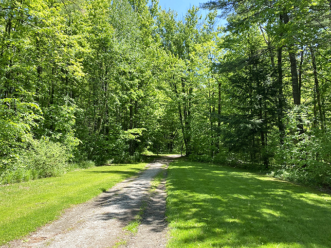 Green light for relaxation! This trail's inviting you to trade your daily grind for a daily unwind.