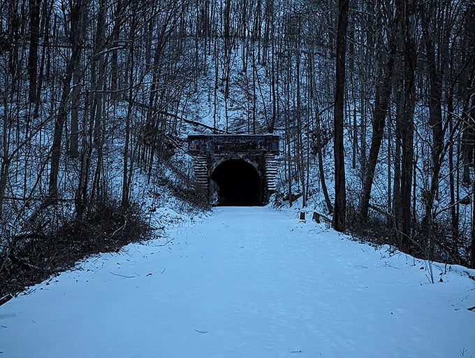 Winter's frosty embrace: Snow transforms the tunnel into a scene straight out of Narnia &ndash; minus the talking animals, probably.