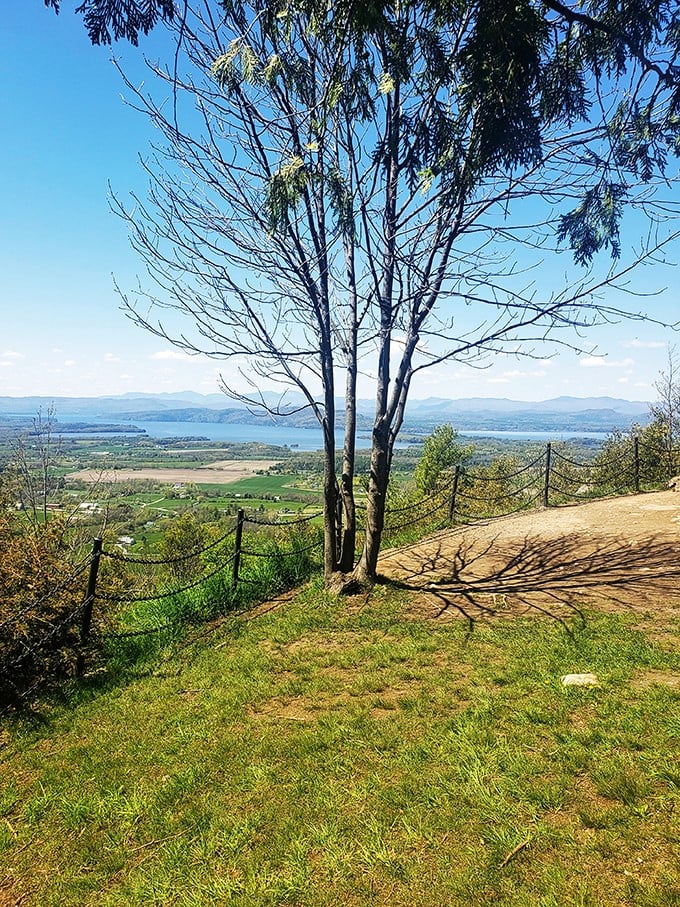 Where the grass is always greener... because you're looking down at it from Mt. Philo's stunning viewpoint.