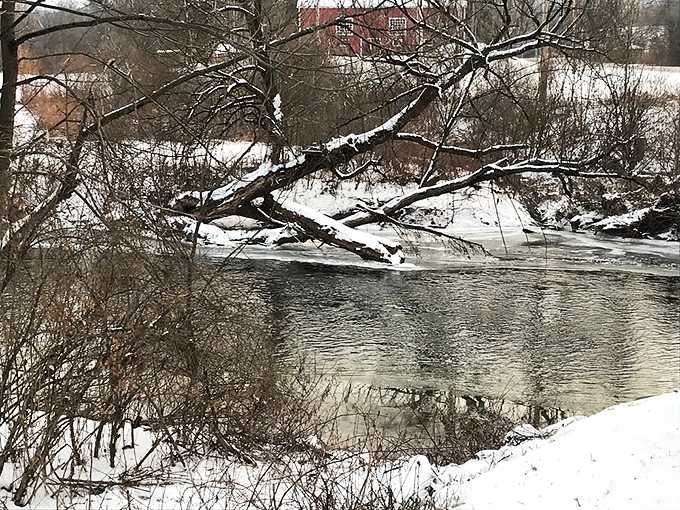 Winter wonderland or serene snow globe? Either way, this frosty scene is pure Vermont magic.