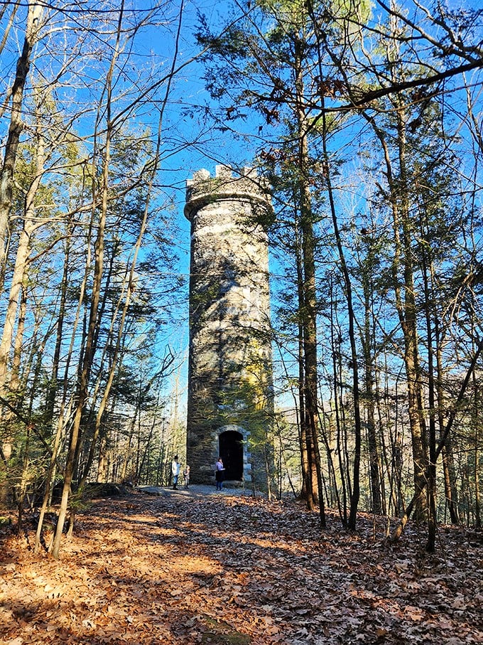 Rapunzel, Rapunzel, let down your... wait, wrong story. Brattleboro's tower stands tall, minus the fairytale princess.