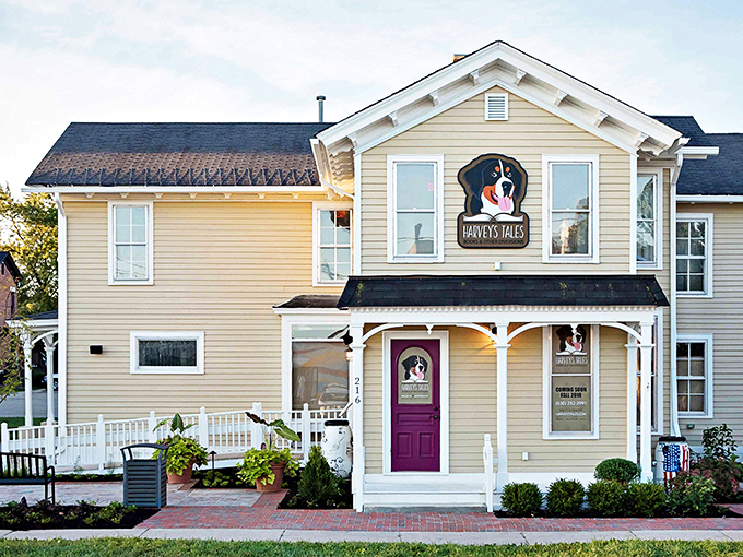 "Fairy tale pit stop ahead! Harvey's Tales is the enchanted cottage on your literary adventure."