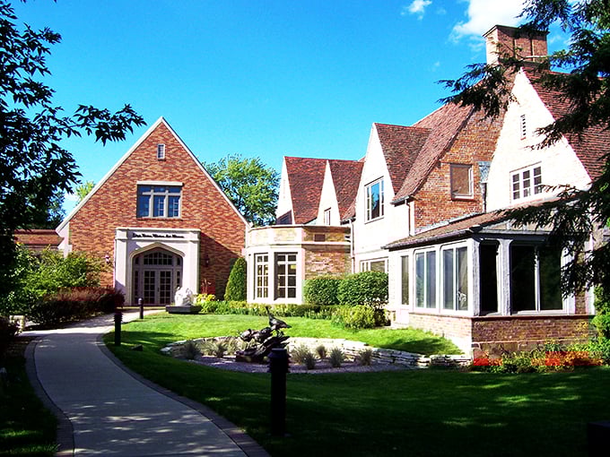 Feathered masterpieces: Where art takes flight and every brushstroke sings.