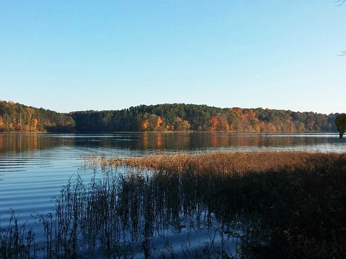 Where art meets nature. It's like a slice of 1960s San Francisco, but with more trees and fewer fog delays.