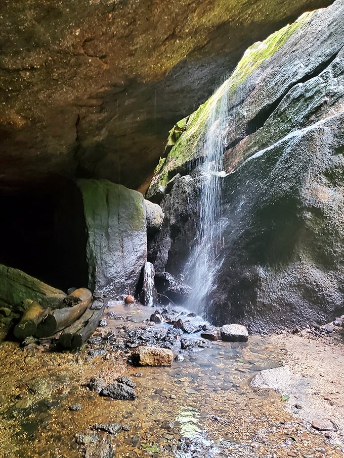 Nelson Kennedy Ledges: where playing Tetris with rocks becomes an extreme sport. Hardhats not included.