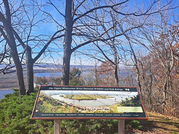 Bluff-top beauty: Alma's panoramic views of the Mississippi will have you yodeling with joy (lederhosen optional).