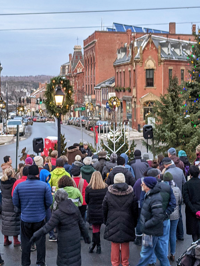 Coastal Christmas comes alive in Belfast, with enough twinkling lights to guide Santa's sleigh &ndash; or the local lobster boats.
