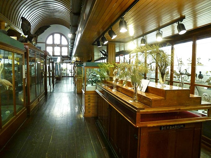 From stuffed critters to soaring planets, this museum spans earth and sky. No rocket ship required for this cosmic journey!