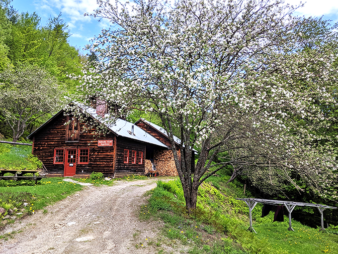 Spring blossoms frame this maple masterpiece. Nebraska Knoll Sugar Farm is poetry in wood and sap.