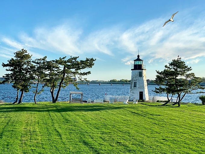 Park it in Shelburne: A farm, a museum, and a whole lot of charm await.