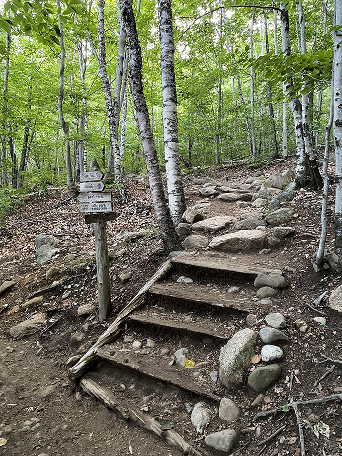 Road trip challenge accepted: Can you conquer the Beehive's vertical playground?